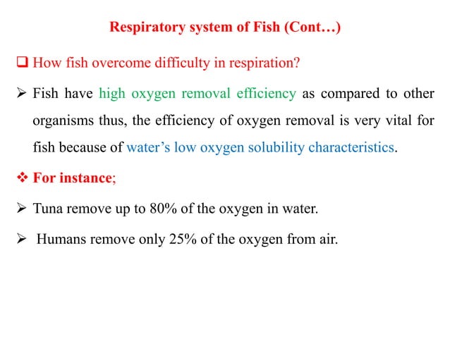 Chap-4 Anatomy and Physiology of Fish.pptx | Zoos & Aquariums | Attractions