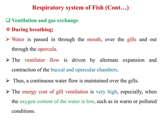Chap-4 Anatomy and Physiology of Fish.pptx | Zoos & Aquariums | Attractions