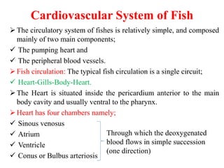 Chap-4 Anatomy and Physiology of Fish.pptx