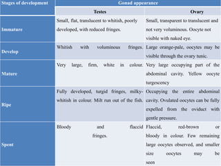 Chap-4 Anatomy and Physiology of Fish.pptx