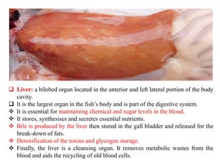 Chap-4 Anatomy and Physiology of Fish.pptx