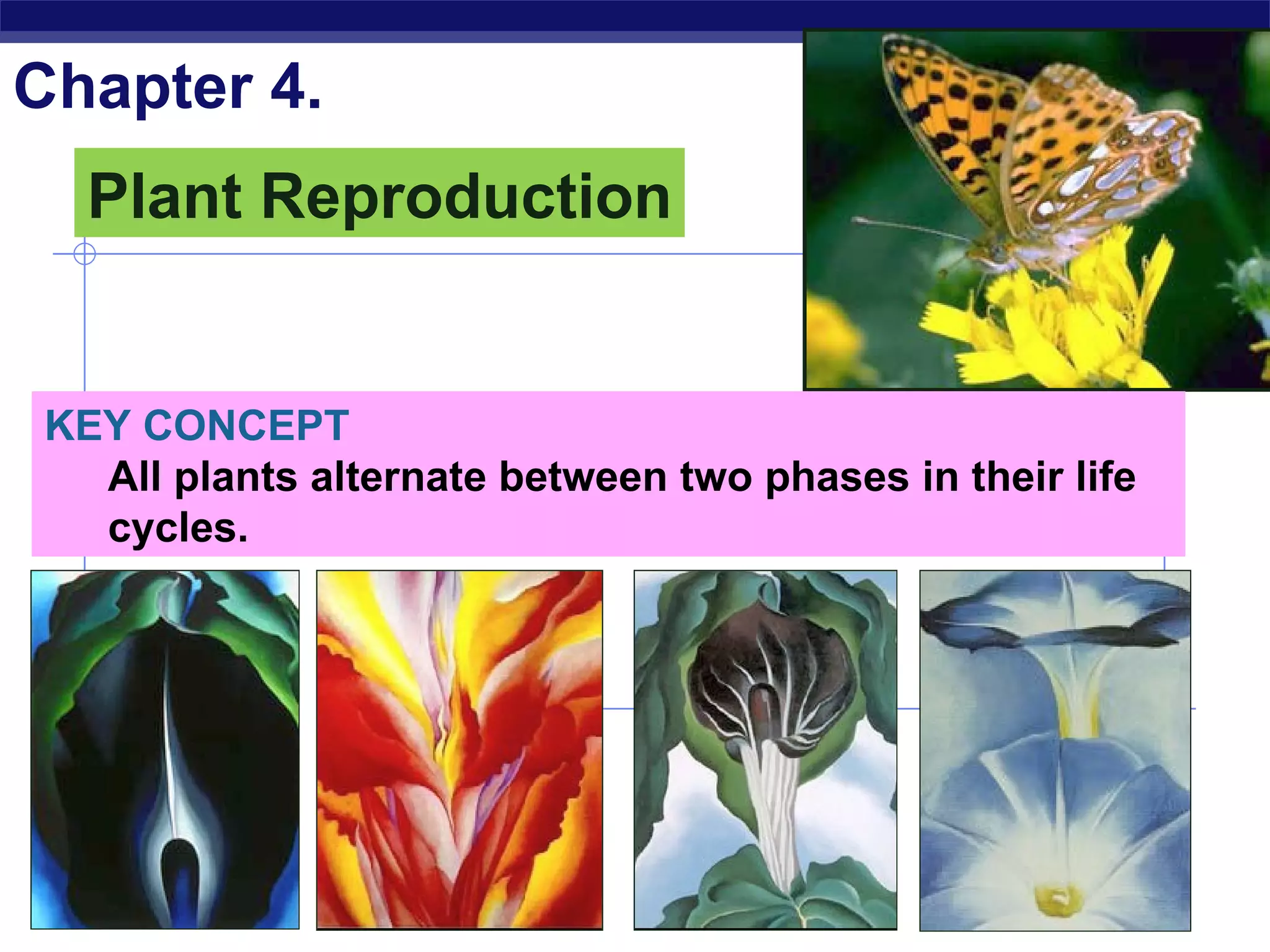 Chap. 4 plant reproduction final | PPT