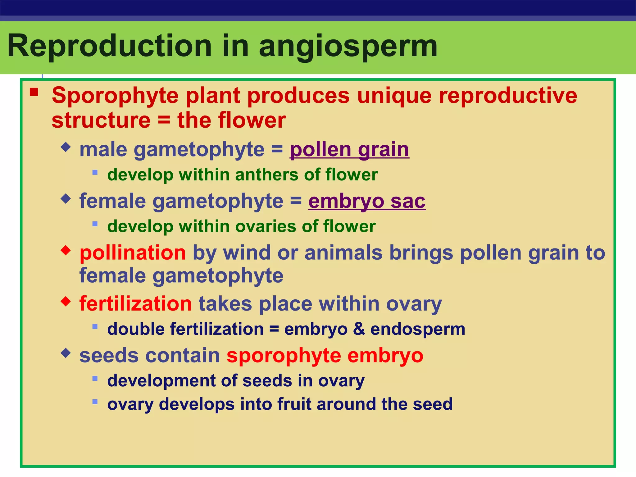 Chap. 4 plant reproduction final | PPT
