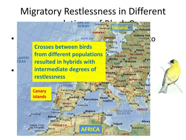 Chap 5 Kin Selection Altruism | PPTX