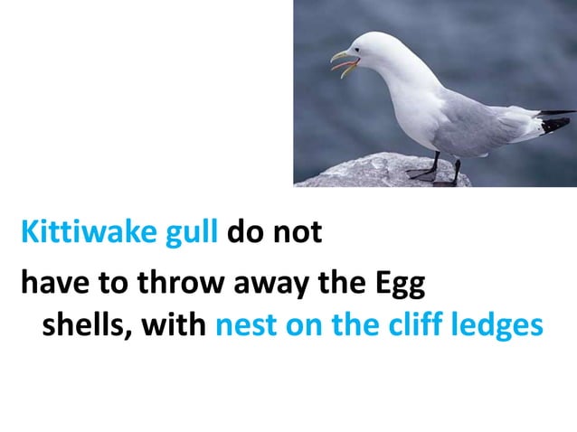 Chap 5 Kin Selection Altruism | PPTX