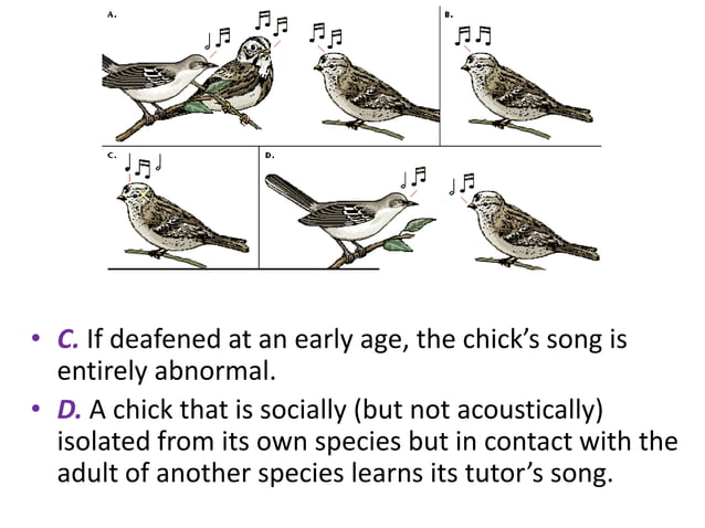 Chap 5 Kin Selection Altruism | PPT