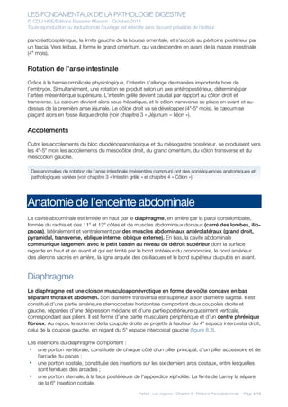 Peritoine paroi abdominale | PDF