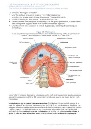Peritoine paroi abdominale | PDF