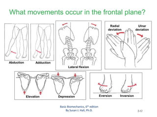 biomechancs kinematic concepts | PPT