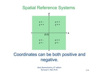 biomechancs kinematic concepts | PPT