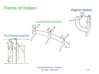 biomechancs kinematic concepts | PPT