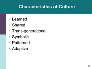 The Meanings and Dimensions of Culture | PPTX