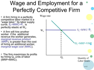 Wage Determination and the Allocation of Labor | PPT