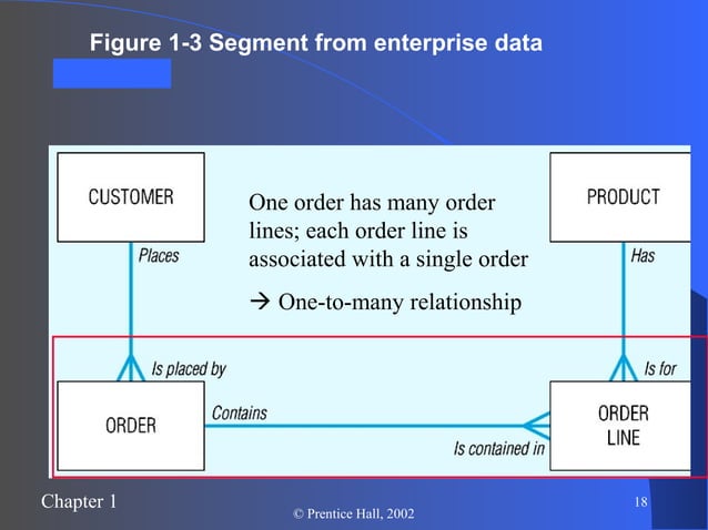 The Database Environment Chapter 1 | PPT | Databases | Computer Software and Applications