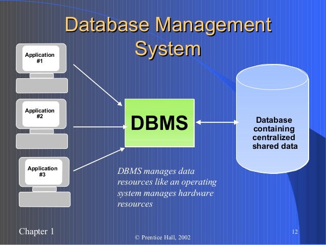 The Database Environment Chapter 1