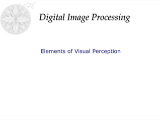 Chap01 visual perception | PPTX