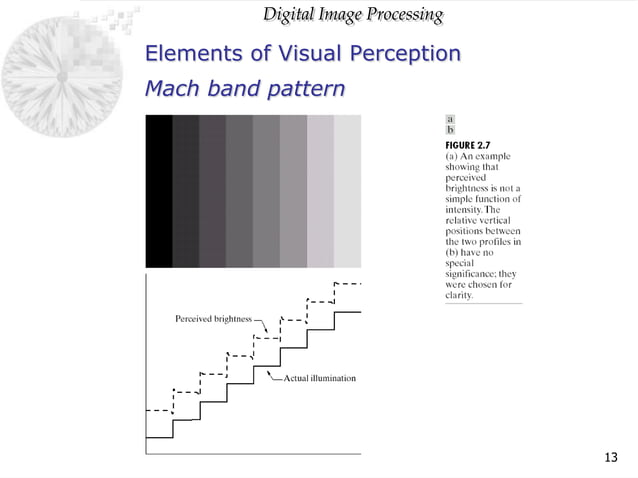 Chap01 visual perception | PPTX