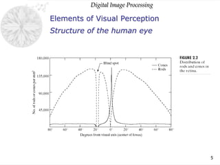 Chap01 visual perception | PPTX