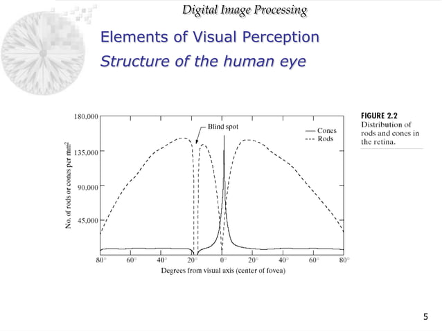 Chap01 visual perception | PPTX