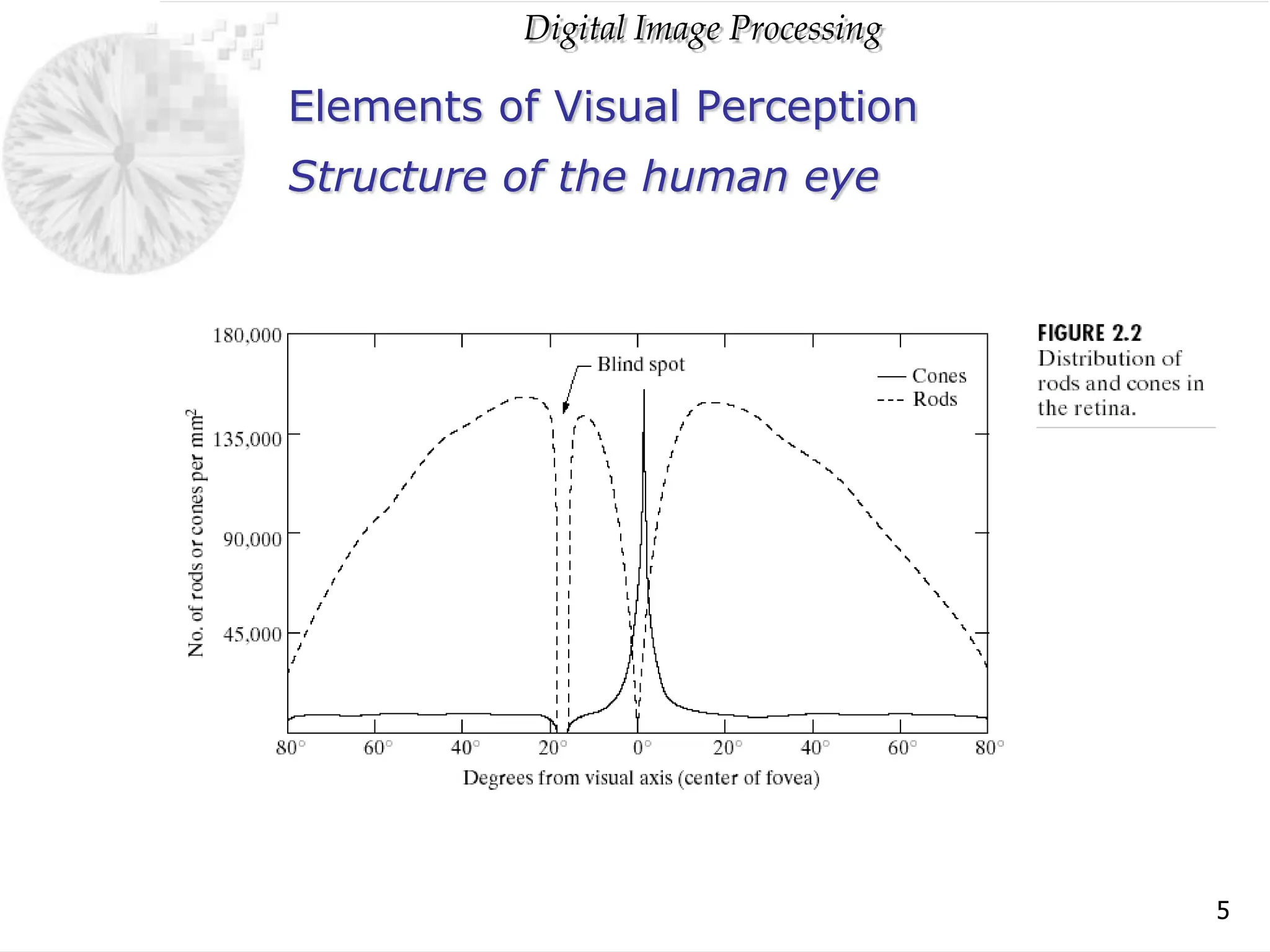 chap01 visual perception.pptx
