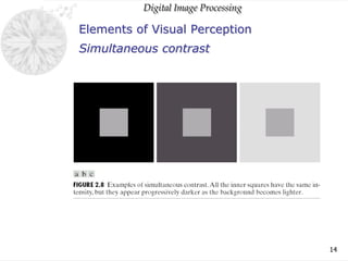 chap01 visual perception.pptx