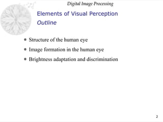 chap01 visual perception.pptx