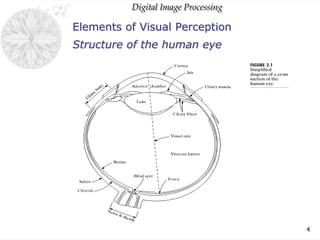 chap01 visual perception.pptx
