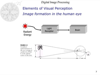 chap01 visual perception.pptx