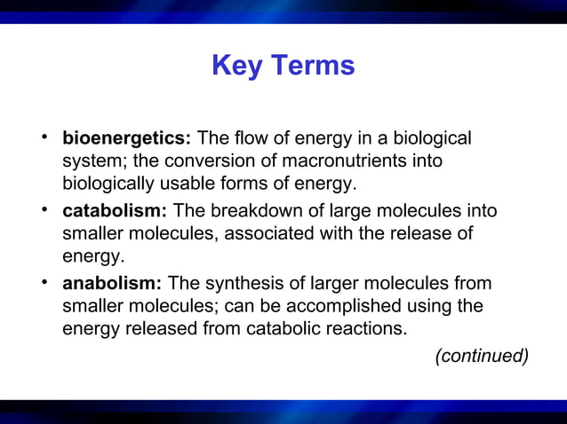 Chap02 | PPT | Endocrine and Metabolic Diseases | Diseases and Conditions