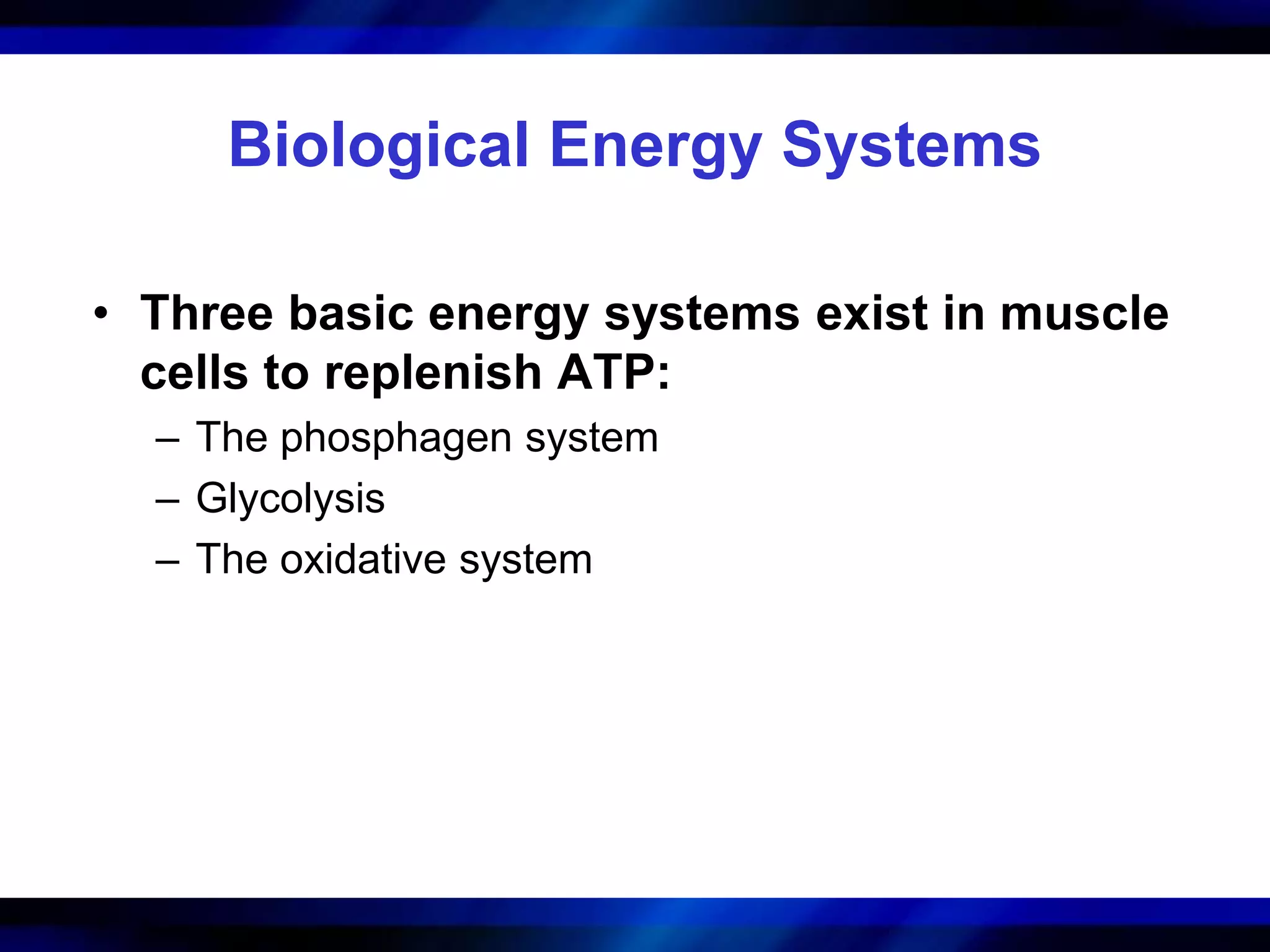 Bioenergetics of Exercise | PPT