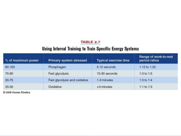 Bioenergetics of Exercise