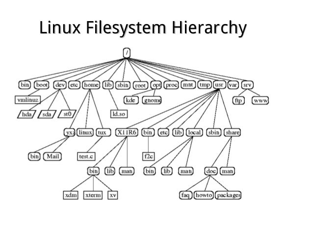 Linux fundamental - Chap 03 file