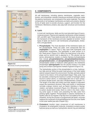 Chap 03 Lippincott - Cell and Molecular Biology 2.pdf