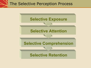 Chap04 Perspectives On Consumer Behavior | PDF