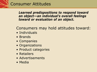 Chap04 Perspectives On Consumer Behavior | PDF