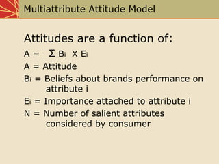 Chap04 Perspectives On Consumer Behavior | PDF