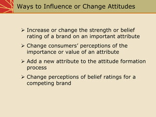 Chap04 Perspectives On Consumer Behavior | PDF