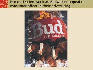 Chap04 Perspectives On Consumer Behavior | PDF