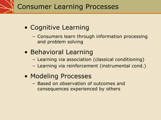 Chap04 Perspectives On Consumer Behavior | PDF