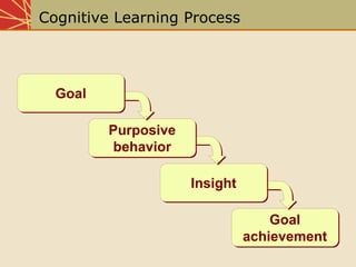 Chap04 Perspectives On Consumer Behavior | PDF
