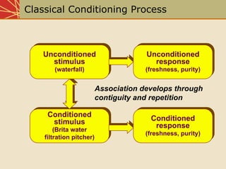 Chap04 Perspectives On Consumer Behavior | PDF