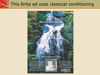 Chap04 Perspectives On Consumer Behavior | PDF