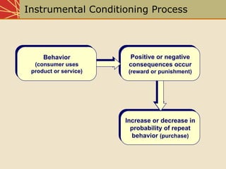 Chap04 Perspectives On Consumer Behavior | PDF