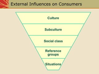 Chap04 Perspectives On Consumer Behavior | PDF