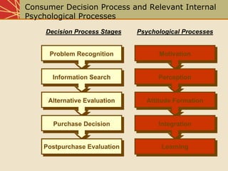Chap04 Perspectives On Consumer Behavior | PDF