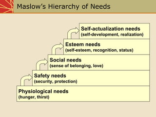 Chap04 Perspectives On Consumer Behavior | PDF