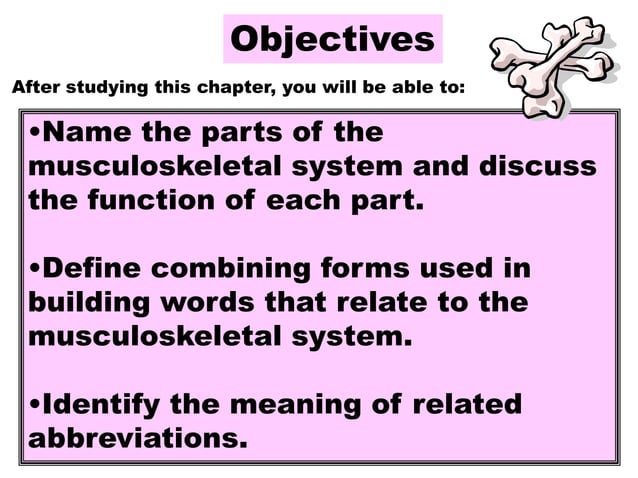 Muscular Skeletal System | PPT
