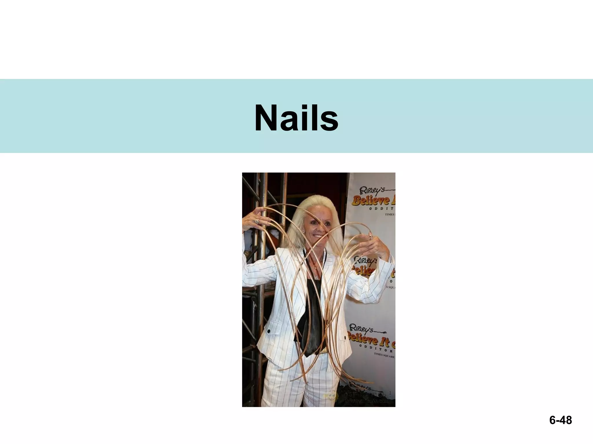 Chap06 Integumentary System | PPT