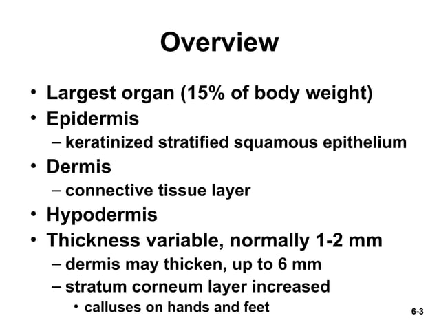 chap06_powerpoint_le2.ppt integumentary system | PPT