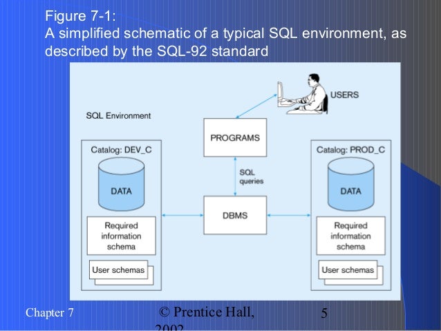 The Database Environment Chapter 7